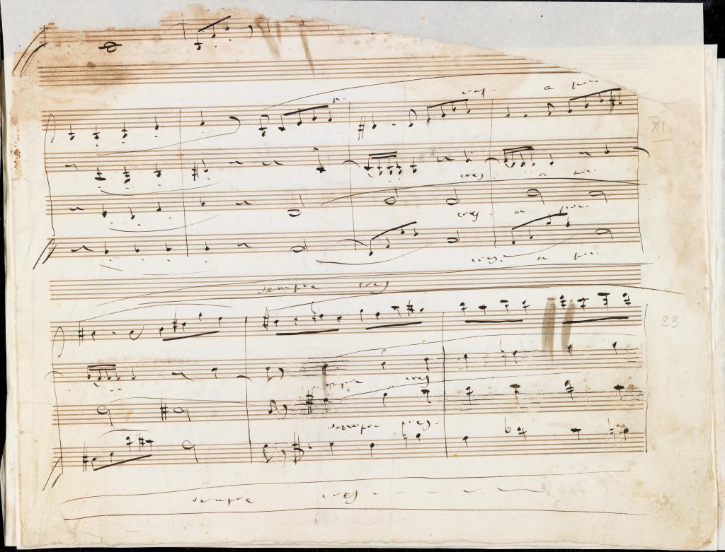 On the first version of Verdi’s string quartet – interview with Anselm ...